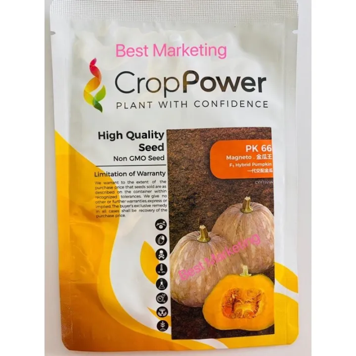 CROP POWER - PK66 Benih Labu/南瓜种子 – 20G / 200G | Lazada
