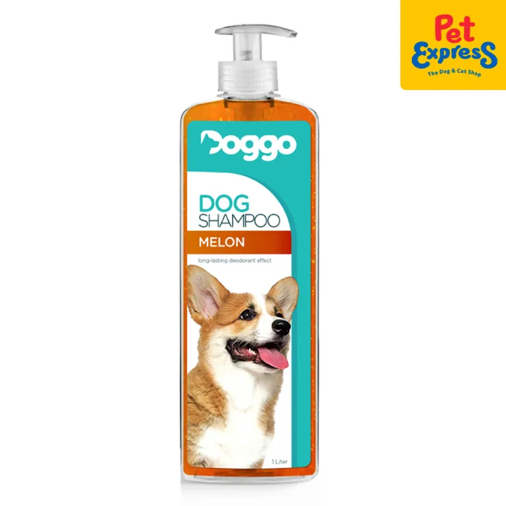 Doggo Dog Shampoo Melon Scent 1L | Lazada PH