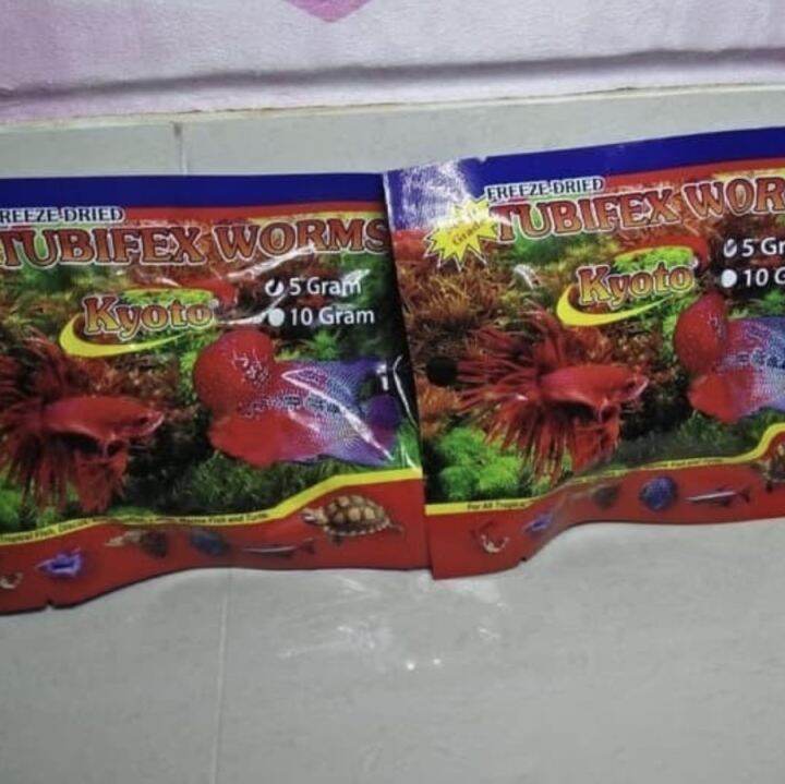 Tubifex Cacing Makanan Ikan 5 gram Worms Pakan Ikan 5 gram | Lazada ...