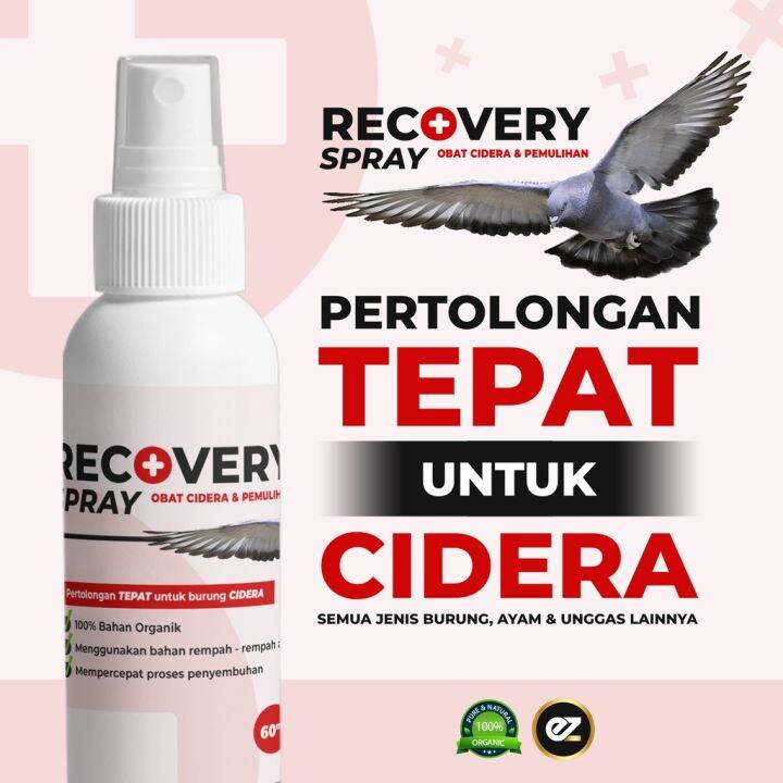RECOVERY Spray untuk burung CIDERA terkilir patah tulang keseleo ...
