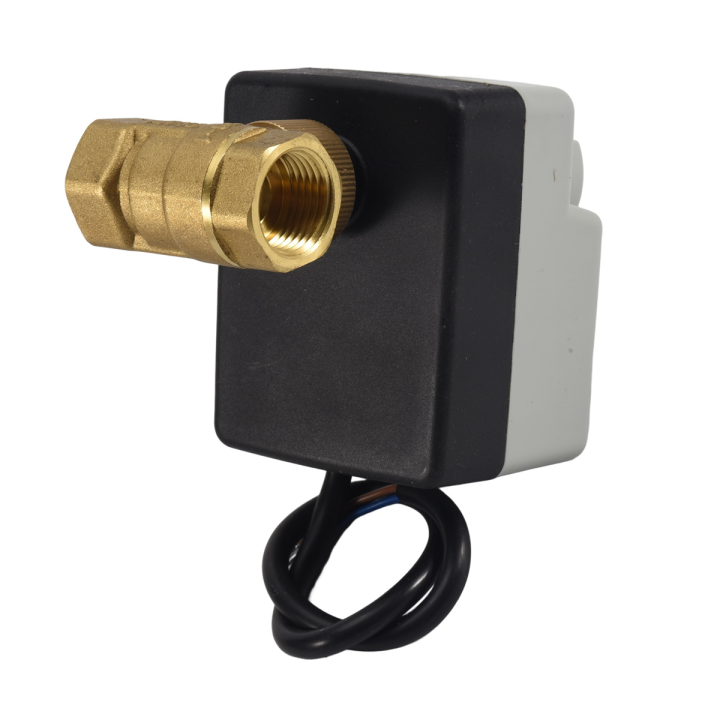 Ac220V 2 Way 3 Wires Motorized Ball Valve Electric Actuator With Manual Switch | Lazada PH