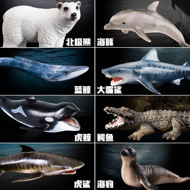Play sea animals happy children's toys simulation model of biological ...