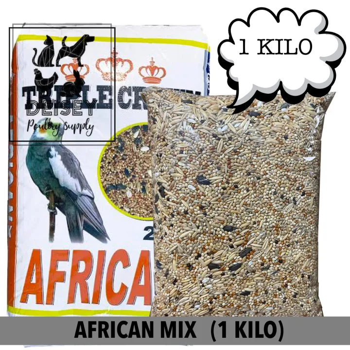 BIRD FOOD AFRICAN MIX MILLETS (1 KILOGRAM) | Lazada PH