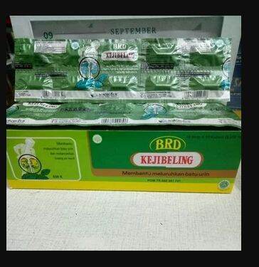 Borobudur Herbal Obat-obatan Tradisional - Kejibeling Strip 10 Kapsul ...