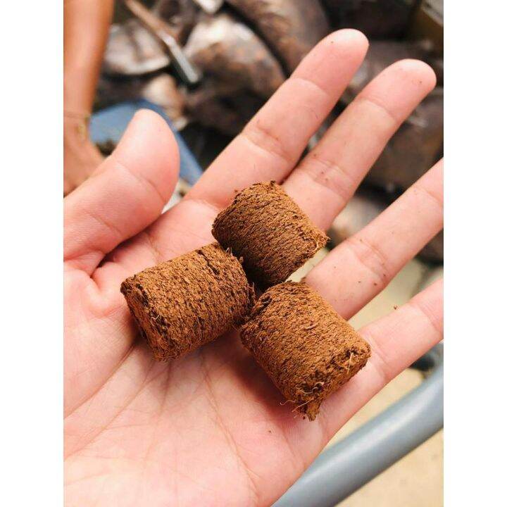 GM4U 1PCS Tanah Cocopeat Coconut Peat Button Hydroponic Seed ...