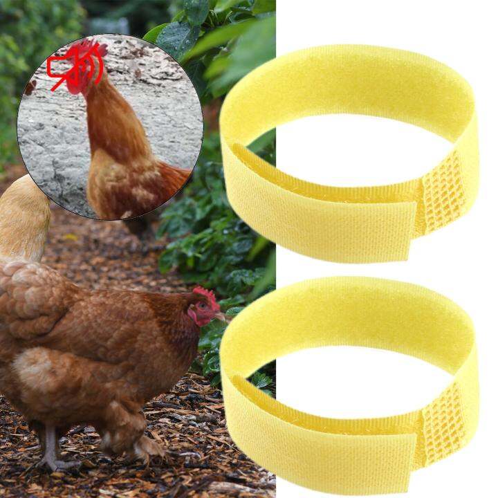 BolehDeals 2x Rooster Anti Crow Collar Neck Belt Chicken Collar for ...