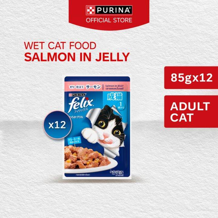 PURINA FELIX Adult Cat with Salmon in Jelly - 85gx12 | Lazada PH