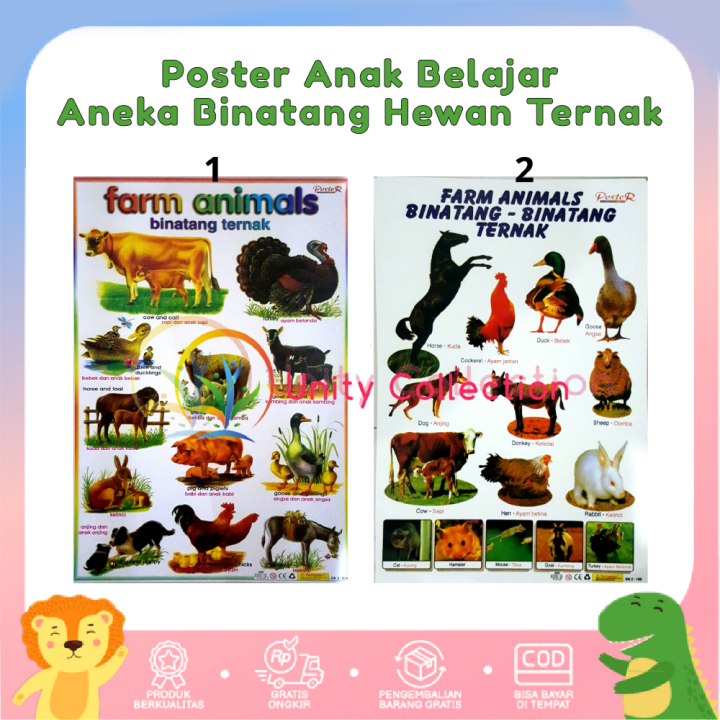 Poster Anak Belajar Aneka Binatang Farm Animal Hewan Ternak | Lazada ...