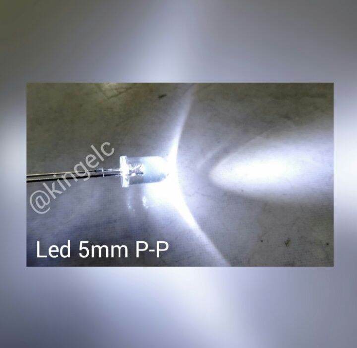LAMPU LED 5MM PUTIH-PUTIH (HARGA PER 100PCS) | Lazada Indonesia
