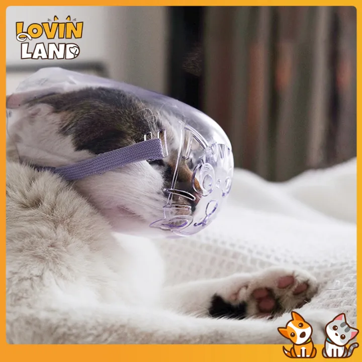Lovinland Transparent Cat Mouth Cover Cat Anti-Bite Head Cover Cat ...