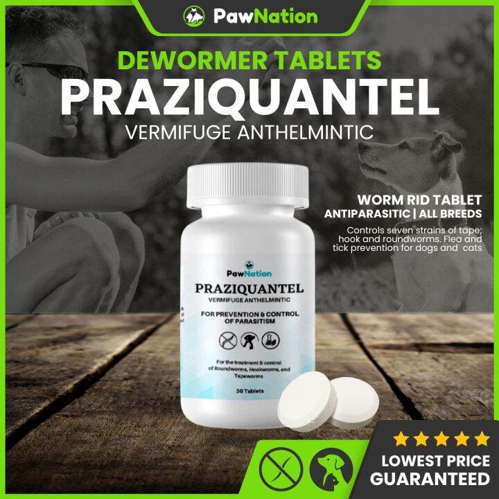 PawNation Praziquantel Dewormer Tablet for Adult Dog Puppy Pet ...