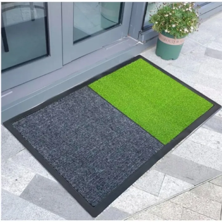 Eavu.ph 2 in 1 Disinfection Pad Mat Door Mat Disinfection Zone Dry Zone ...