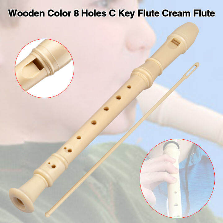 Soprano Descant Recorder 8-Holes Flute with Cleaning Rod, Case Bag ...
