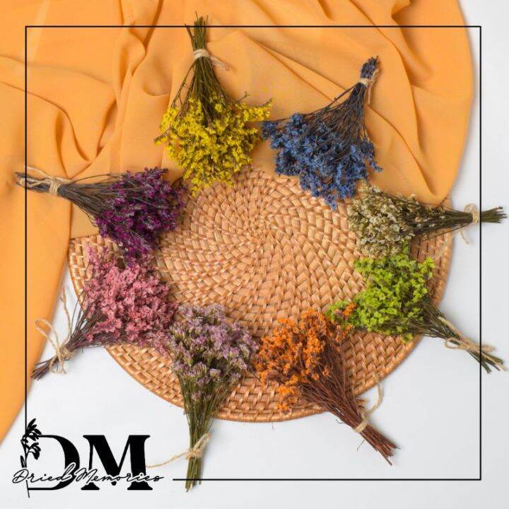 Dried Small Caspia Preserved Dried Misty Flower | Dried Memories PH ...