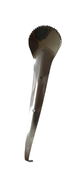 Pangkayod ng Niyog Coconut Grater | Lazada PH