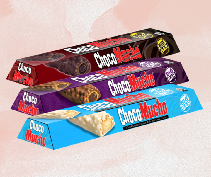 Choco Mucho Big Bar From Rebisco | Lazada PH
