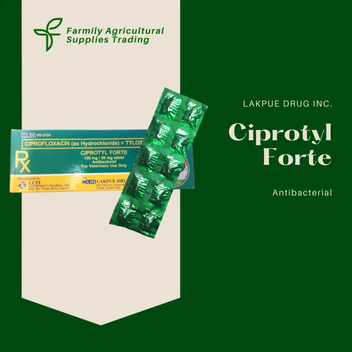 Lakpue Drug Inc. Ciprotyl Forte | Lazada PH