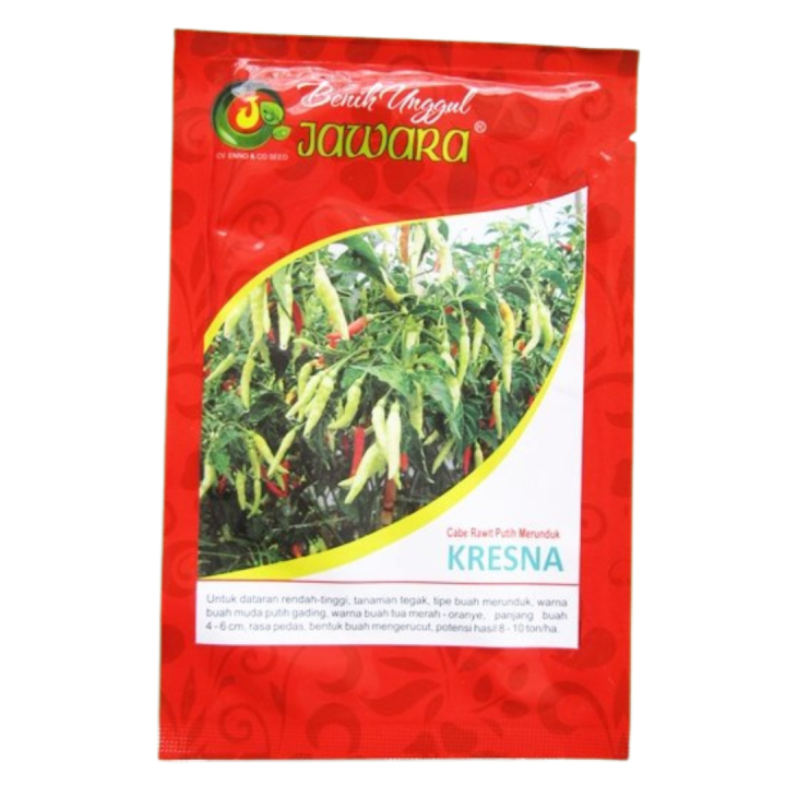 cabe rawit putih merunduk KRESNA PACK 10 GRAM benih bibit cabai jawara ...