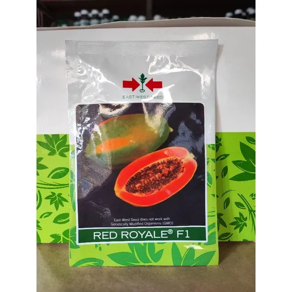 Red Royale F1 Hybrid Papaya - East West Seed The New | Lazada PH