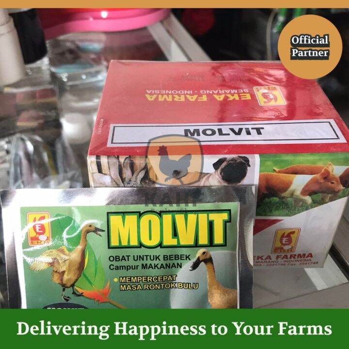 Molvit 1 Pack isi 20 10 gram Obat Perontok Bulu Bebek Ayam EKA FARMA ...
