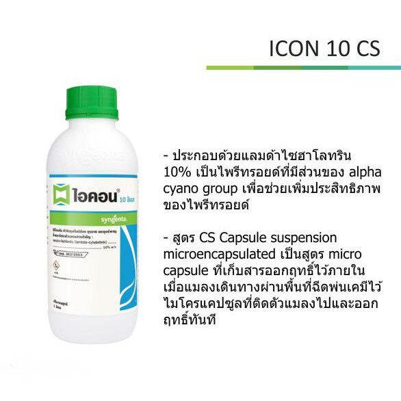 เคมีพ่นกำจัดยุง ทรงประสิทธิภาพและปลอดภัย ไอคอน (ICON 10 CS) Mosquitoes ...