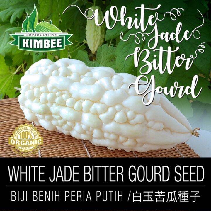 WHITE BITTER GOURD SEEDS / Biji Peria Putih (It's a seed, not a plant ...