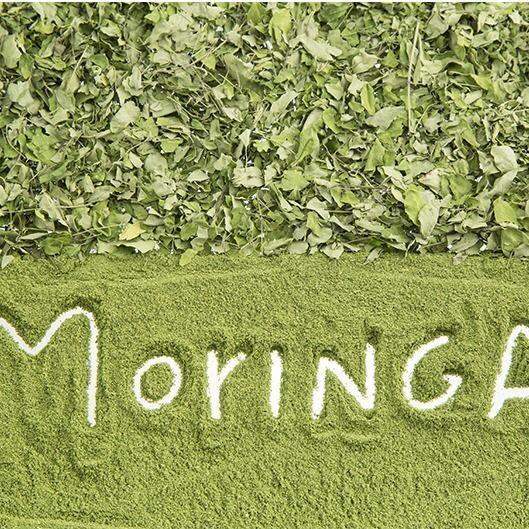 Art tea matcha powder baked milk tea pure raw material brewed Japanese ...