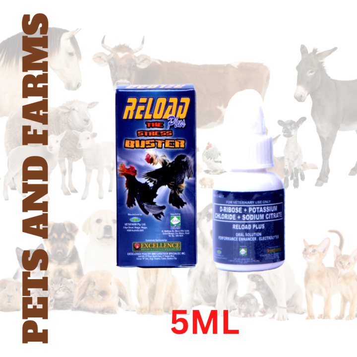 RELOAD PLUS PERFORMANCE ENHANCER AND NUTRITIONAL SUPPLEMENT for ...