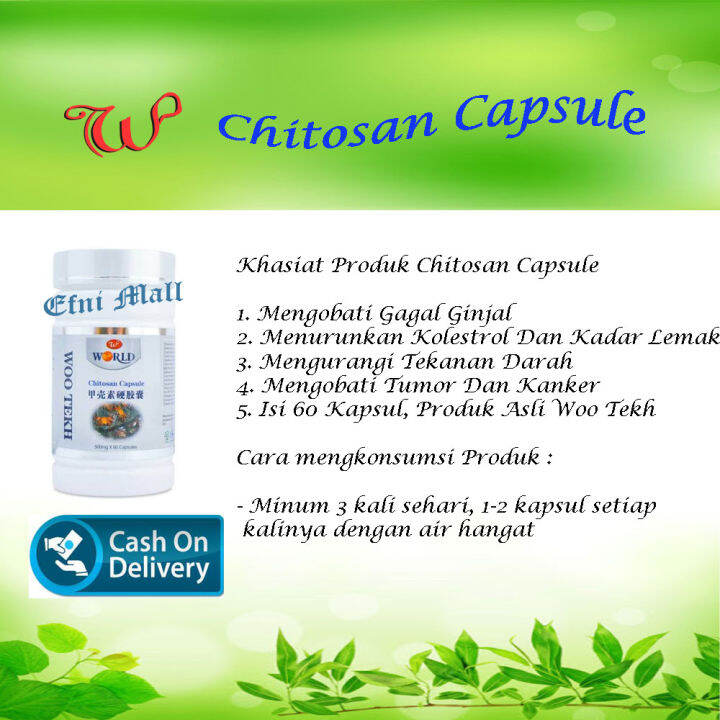 Chitosan Capsule WooTekh Original 100% Herbal - Menurunkan Kolestrol ...