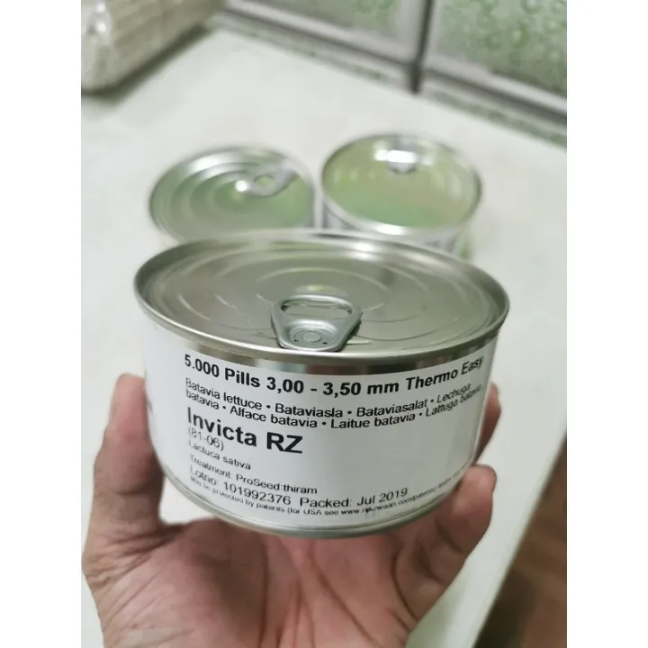 LETTUCE INVICTA RZ THERMO PILL 5000 PILLS PELLETED BY RIJK ZWAAN ...