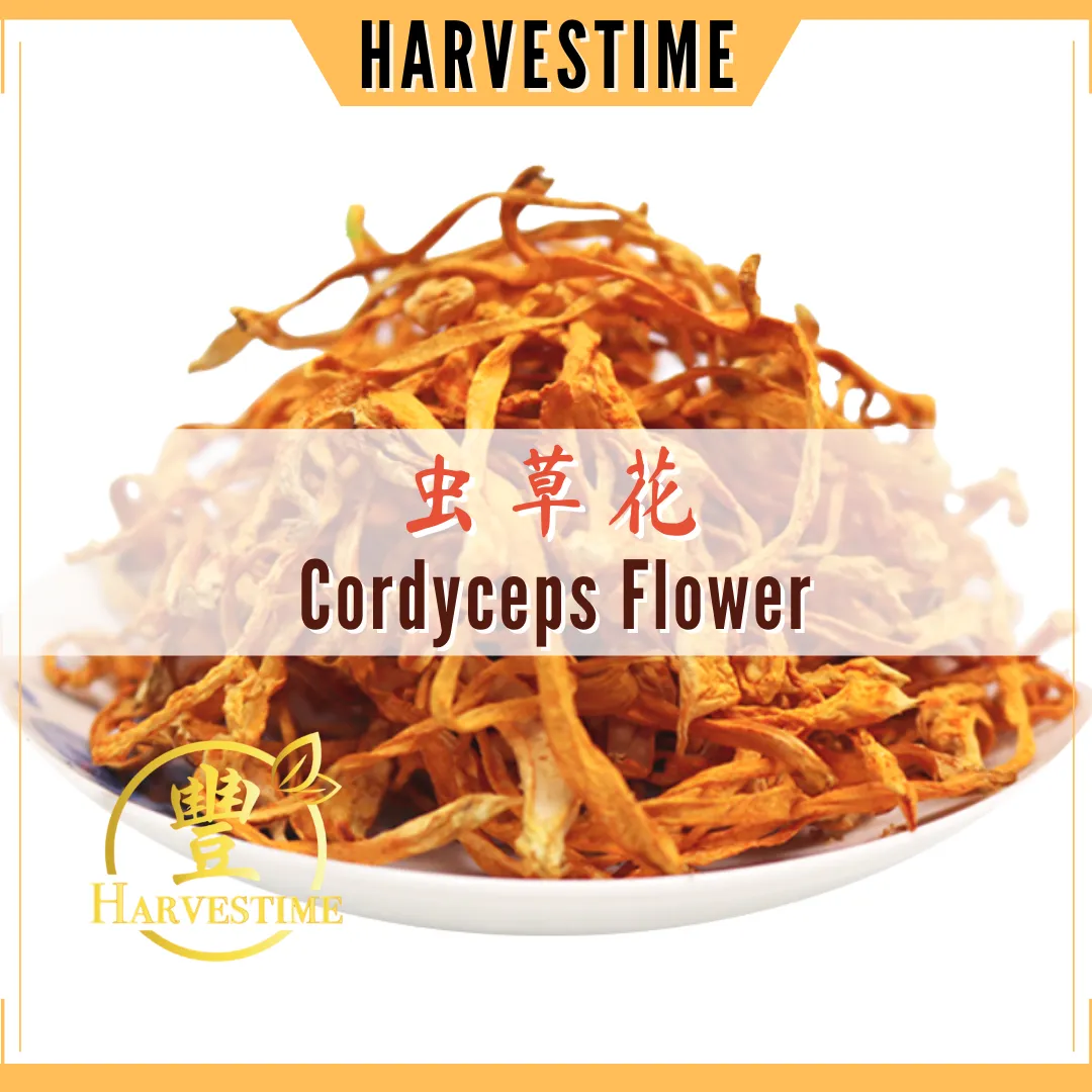 Cordyceps Flower Benefits | Best Flower Site