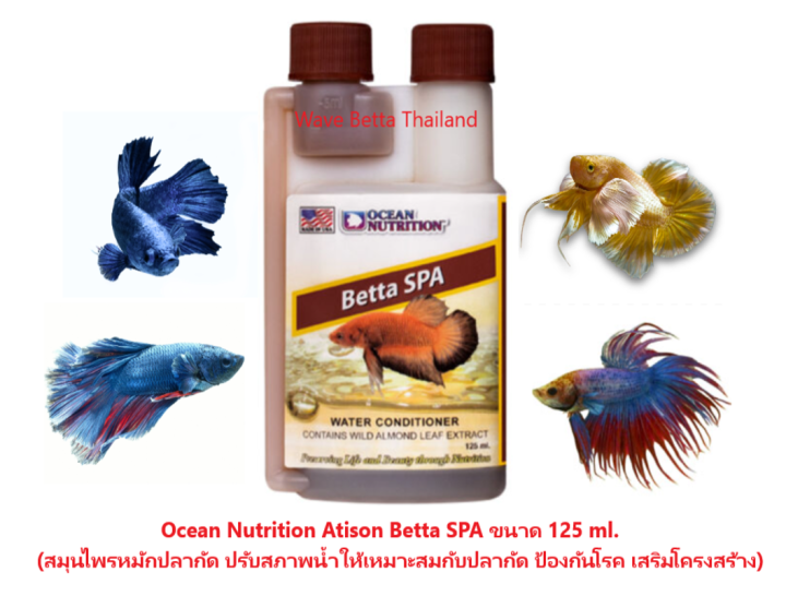 Ocean Nutrition Atison Betta SPA 125 ml. | Lazada.co.th
