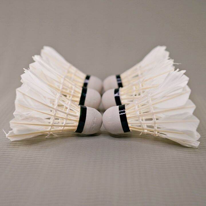 J18030066 402-6# SHUTTLE COCK Badminton 6PCS | Lazada PH