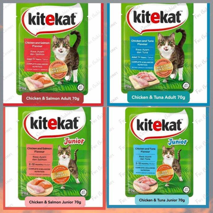 KiteKat Wet Cat Food In 70g Pouch /Kitekat Cat Food | Lazada PH
