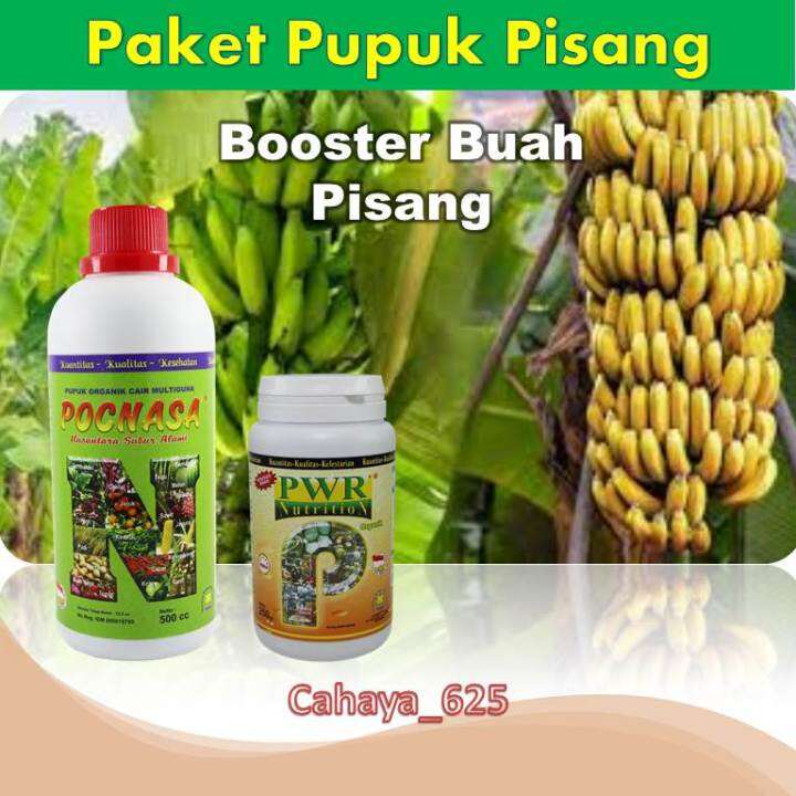 Paket Penyubur Pohon Pisang / Pupuk Pisang Organik / Booster Pohon Pisang / Pupuk Pisang ...