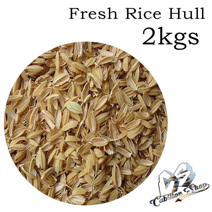 2kg(FRESH RICE HULL)for tappings,mixing your garden. | Lazada PH