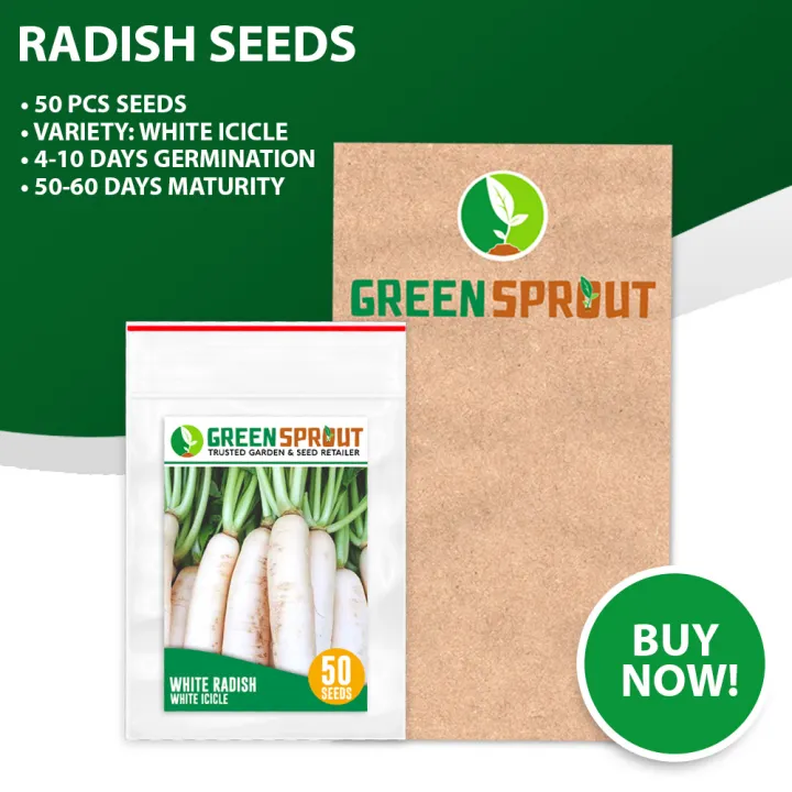 GREEN SPROUT WHITE RADISH (LABANOS) VEGETABLE SEEDS | Lazada PH