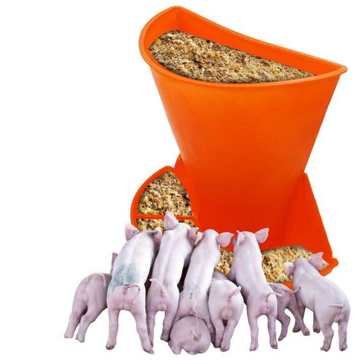1pcs Piglet Feeding Trough Automatic Pig Chute Feeding Piglet Feeding ...