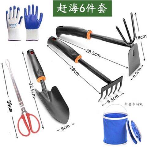 Catch the sea tools, dig clams with a small rake, equip crabs, pick up ...