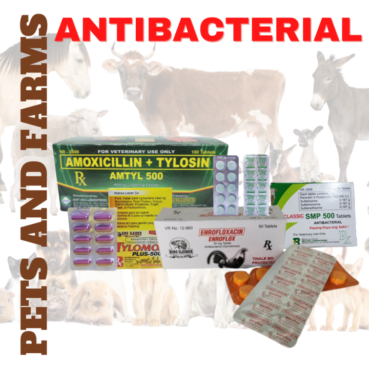 ANTIBACTERIAL TABLET FOR POULTRY KING SLASHER VETMATE AMTY 500 | Lazada PH