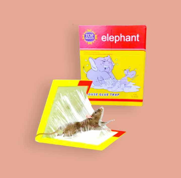 MAGIC KARPET LEM TIKUS/LEM TIKUS SUPER BESAR /LEM TIKUS /LEM TIKUS ...