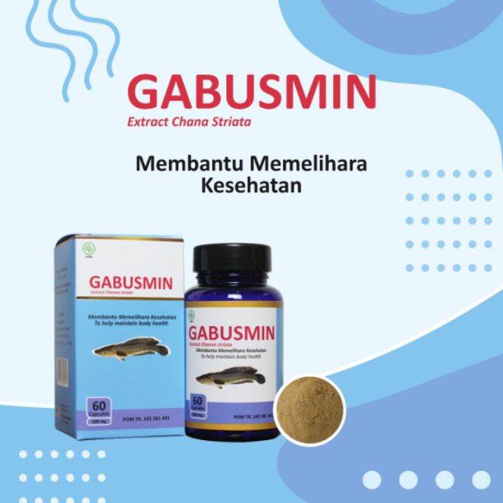 Gabusmin 60 Kapsul - Kapsul Ikan Gabus - Toga Nusantara | Lazada Indonesia