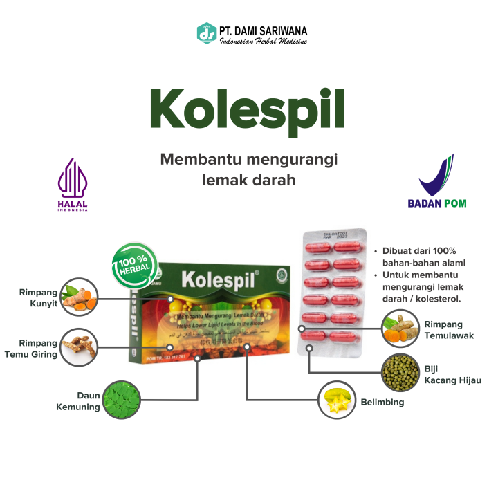 Obat Herbal Alami Kolespil 12 Kapsul Mengurangi Lemak Darah dan ...