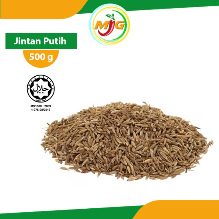 Jintan Putih - 500g | Lazada