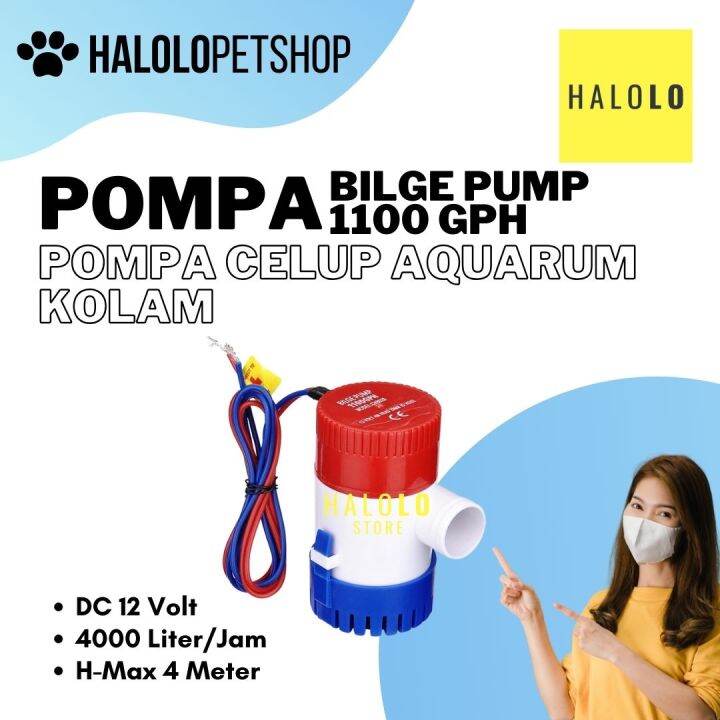 Pompa Celup Kolam Aquarium Bilge Pump 1100GPH DC 12V CH8028 AKI ...