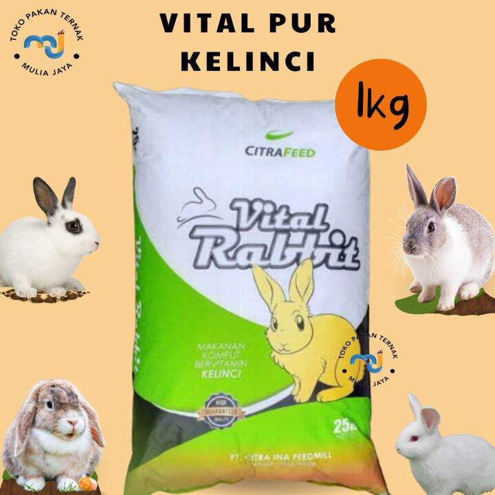 Vital Rabbit Pur Kelinci Repack Makanan Kelinci 1kg | Lazada Indonesia