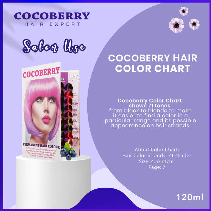 EZ DEAL Cocoberry Permanent Hair Color Chart | Lazada PH