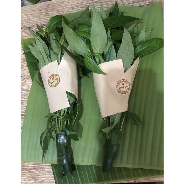 Pure Organic Serpentina Fresh Leaves - 30 stems of serpentina fresh ...