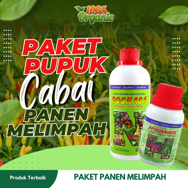Pupuk cabe agar berbuah lebat/Pupuk cabe masa pertumbuhan/Pupuk Cabe rawit pelebat buah | Lazada ...