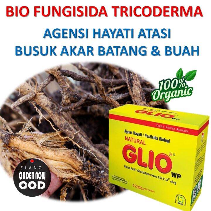 Pupuk Organik Agen Hayati / Obat Pembasmi Jamur Tanah / Obat Jamur ...